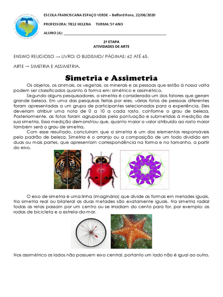 Atividades de Simetria e Assimetria - 4ºe5ºano - Ótima | PDF