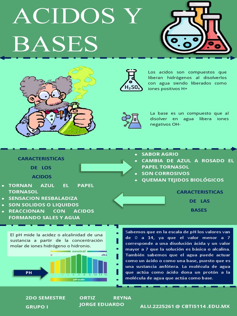 Infografía Acidos y Bases | PDF