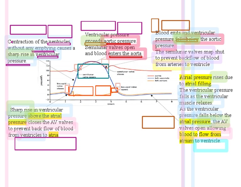 Cardiac Cycle Graph | PDF