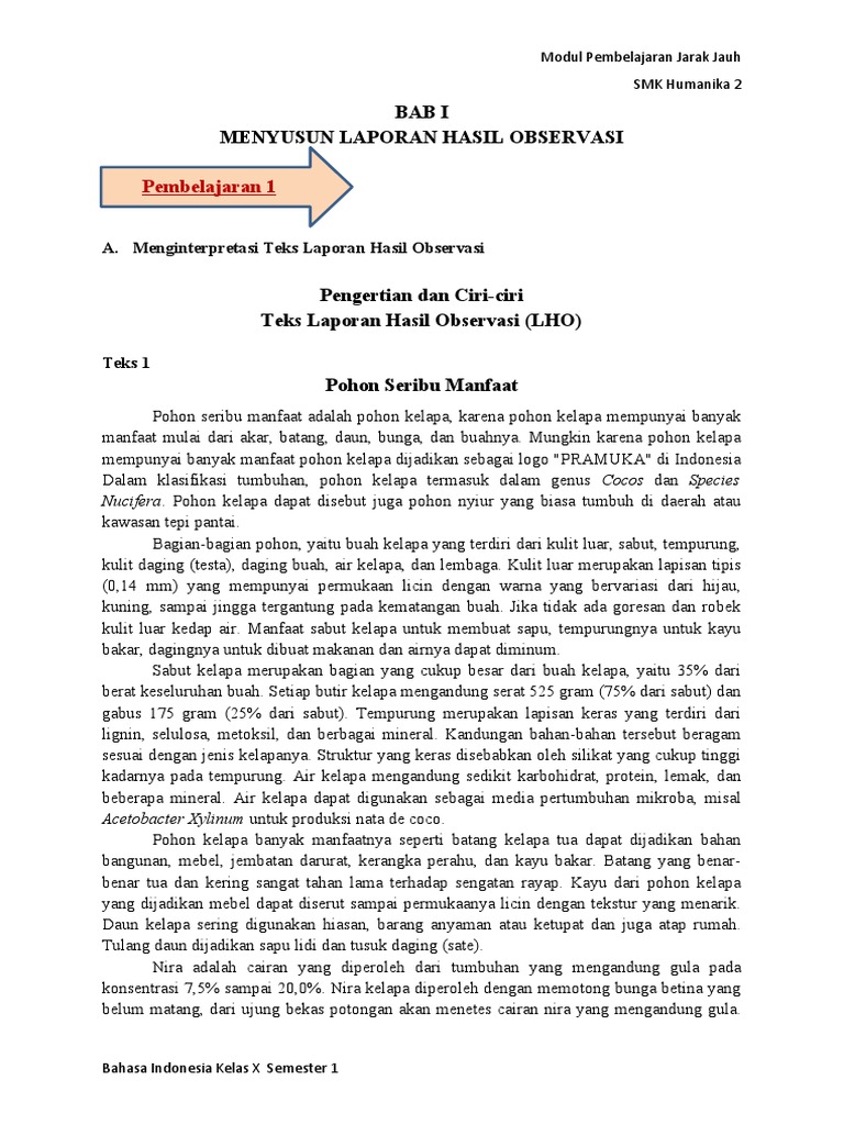 Modul B.indo X | PDF