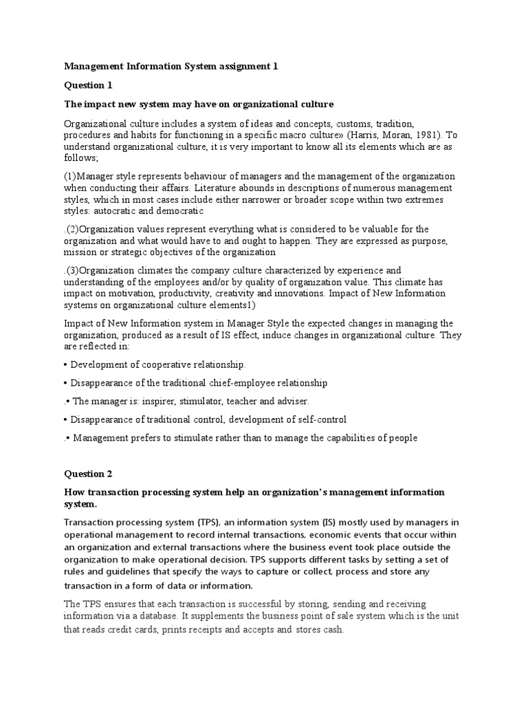 Management Information System Assignment 1 | PDF | Organizational Culture | Marketing