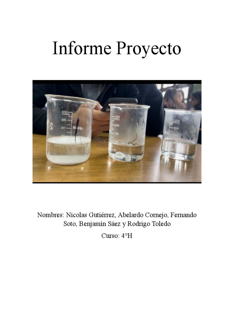 Informe Experimento | PDF