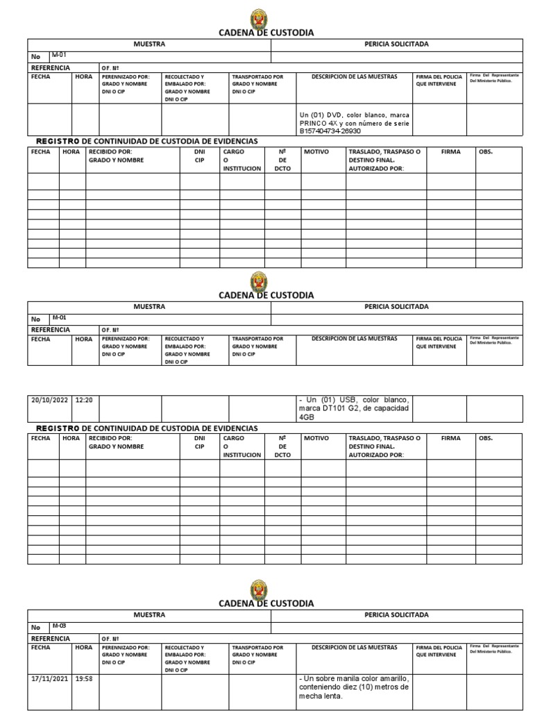 Formato de Cadena de Custodia | PDF