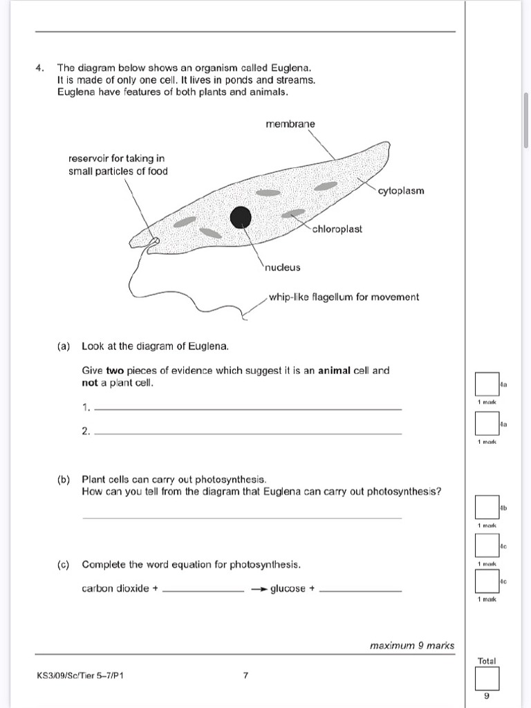 Sats science p1 2009 bio qu revision | PDF