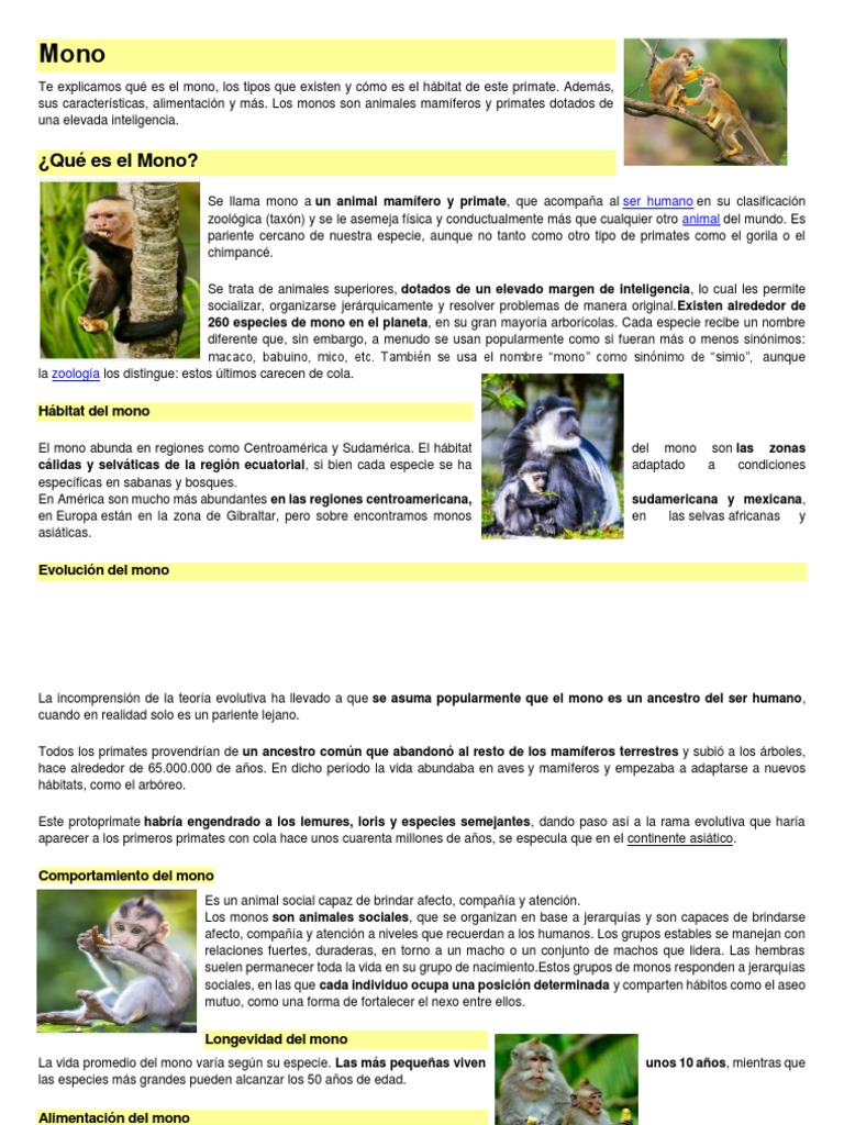 IInformacion Del Mono | PDF | Mono | Organismos