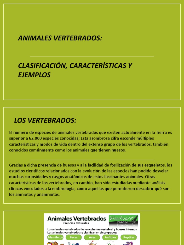 Vertebrados: Clasificación y Ejemplos | PDF | Vertebrados | Esqueleto