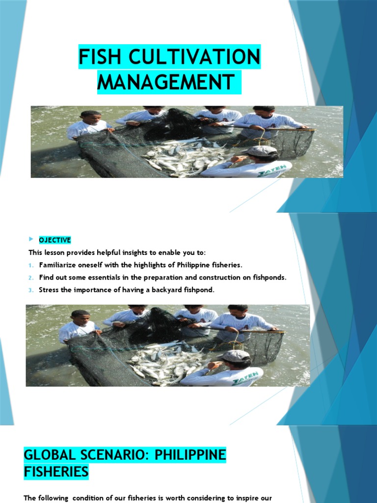 Fish Cultivation Management | PDF