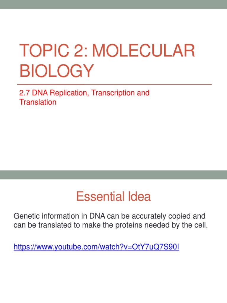 DNA Replication and Protein Synthesis | PDF | Translation (Biology ...