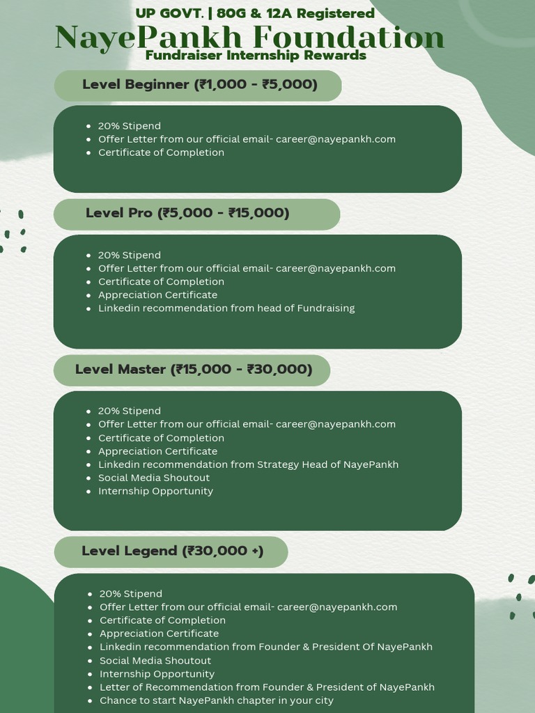 NayePankh Internship Perks-1 | PDF