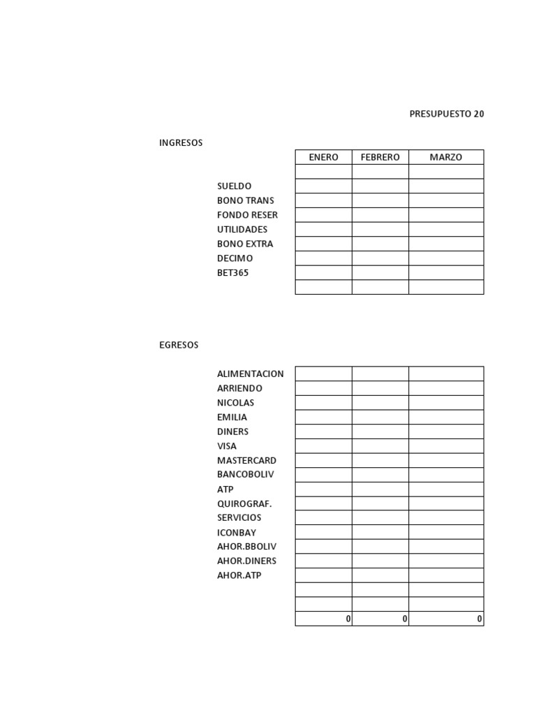 Pre Supuesto PDF