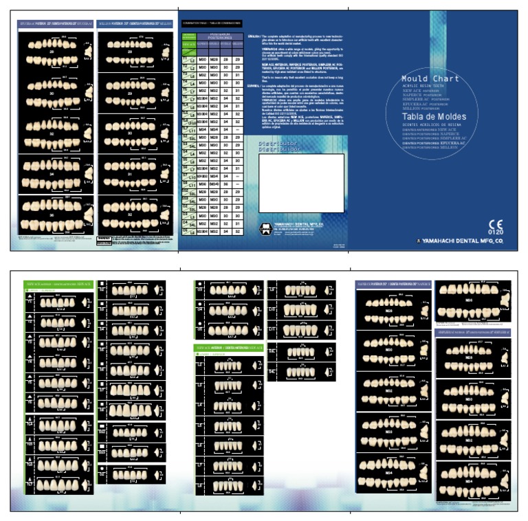 New Ace Anterior Combination Table | PDF