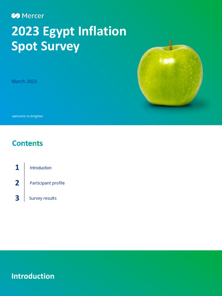 2023 - Egypt - Inflation Spot Survey - March Update | PDF