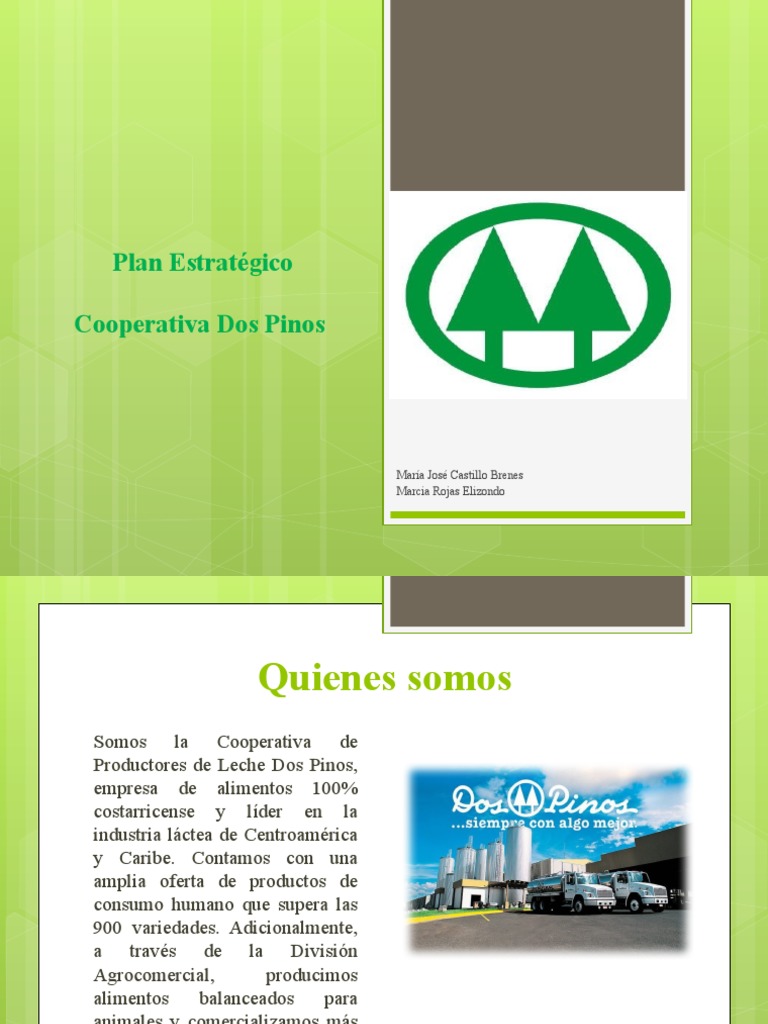 Planeación Estrategica Dos Pinos-1 | PDF