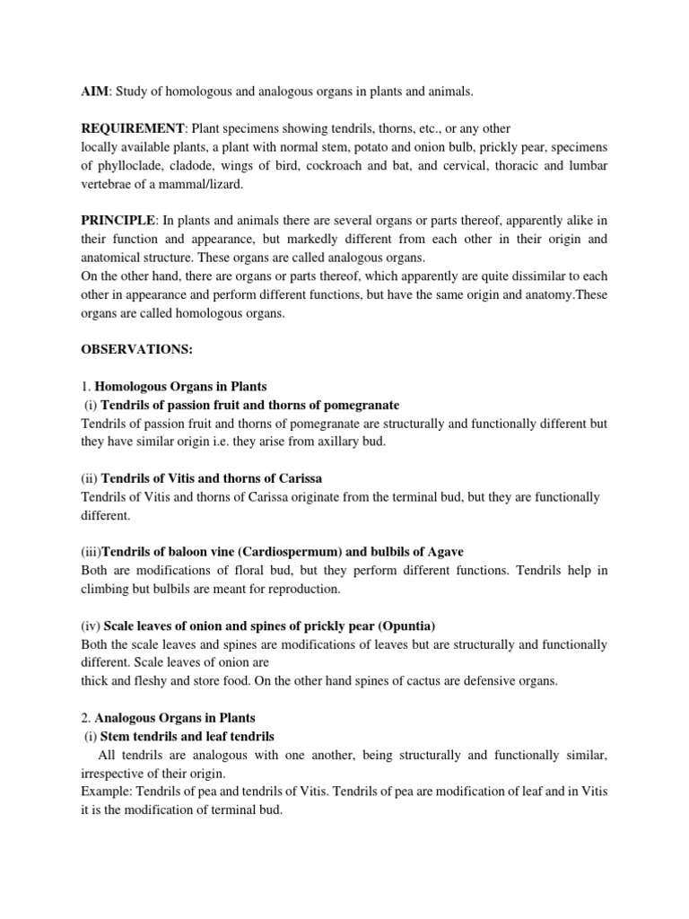 AIM - Study of Homologous and Analogous Organs in Plants and Animals | PDF