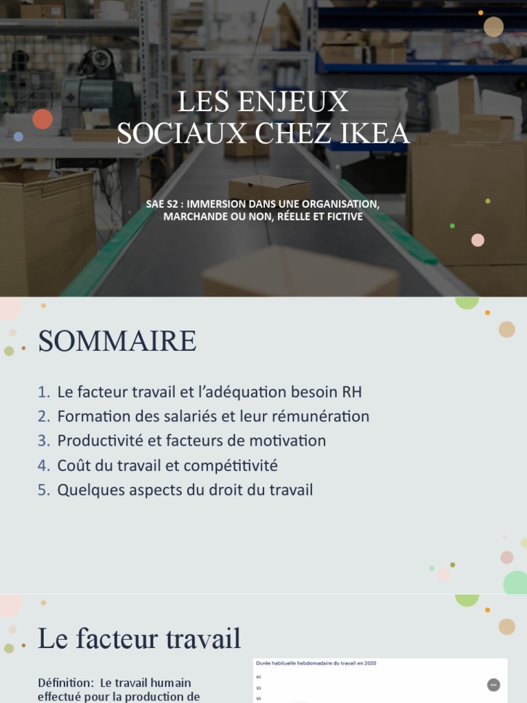 Sae Immersion | PDF | Salaires | Relations de travail