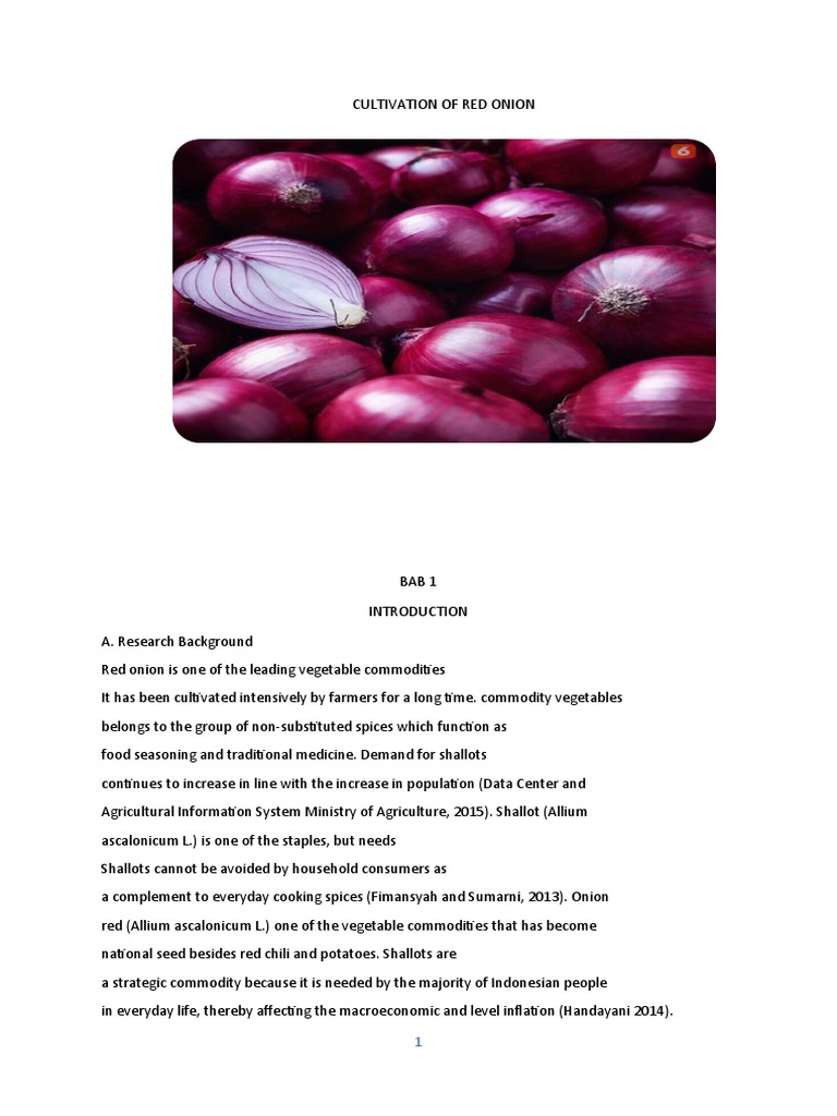 Cultivation of Red Onion | PDF | Soil | Onion