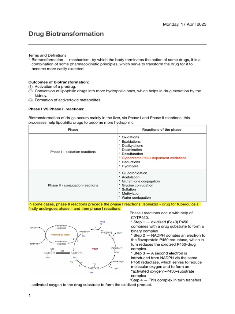 Drug Biotransformation | PDF