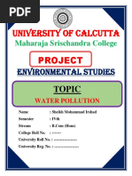 Project On Water Pollution | PDF | Water Pollution | Water