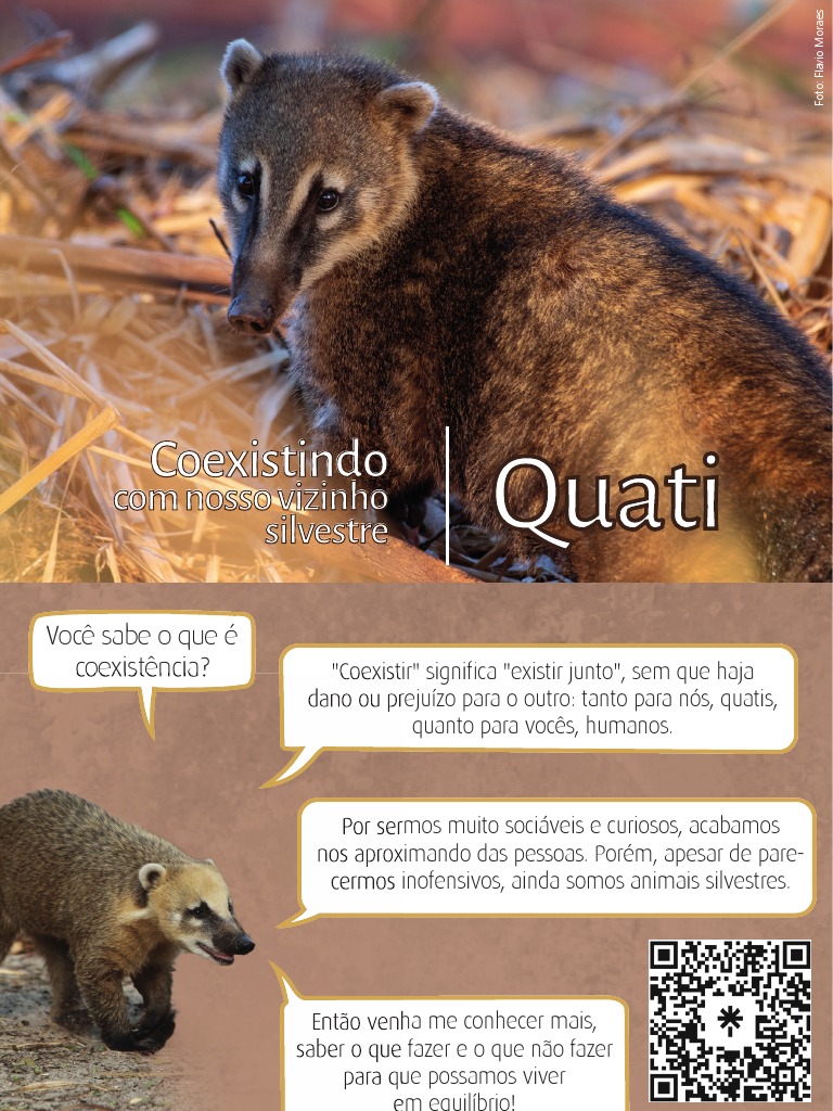 Quati - Versão Digital | PDF | Humano