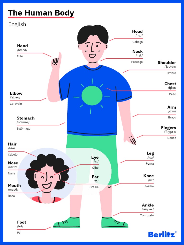 The Human Body | PDF