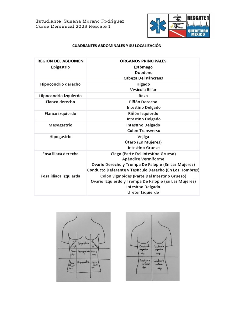 Cuadrantes Abdominales y Su Localización | PDF