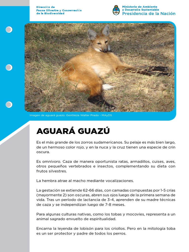 Información sobre el Aguará Guazú | PDF