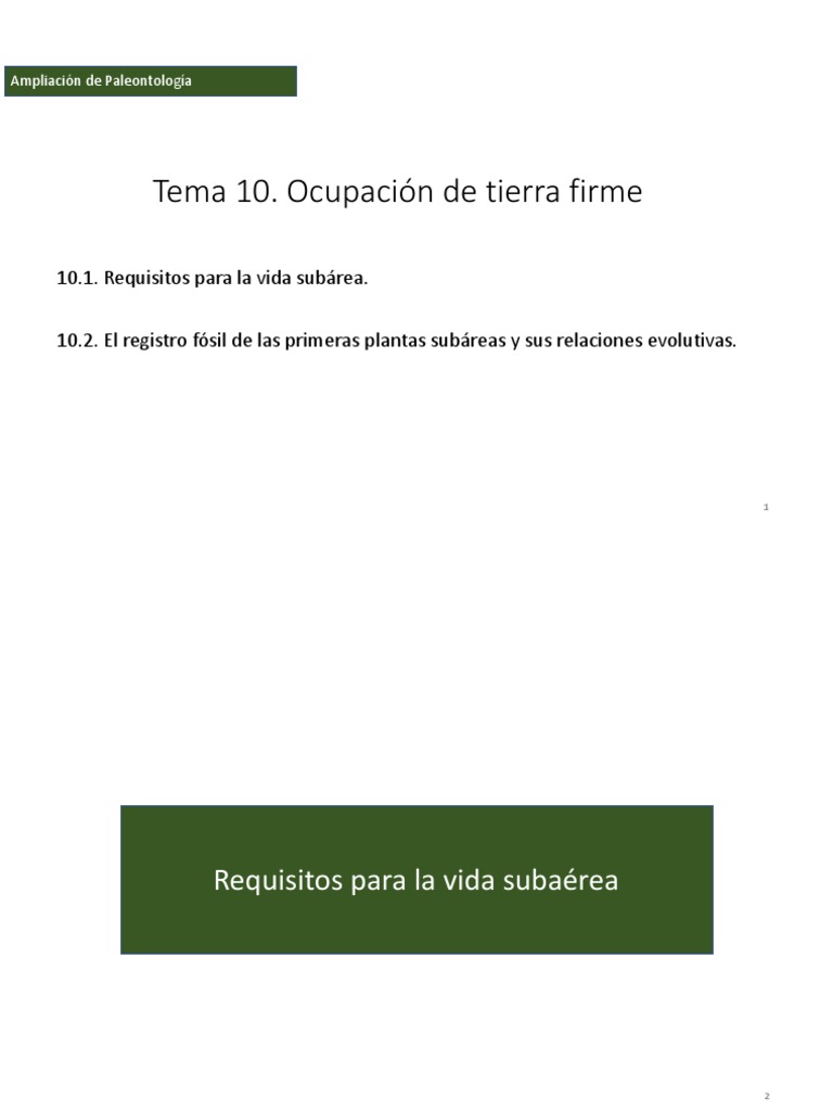 Tema 10 Plantas Terrestres | PDF | Estoma | Plantas