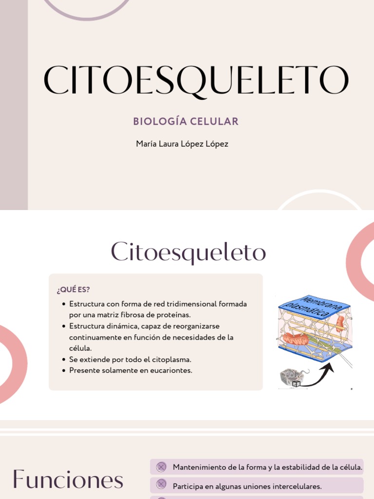 Estructura y funciones del citoesqueleto | PDF