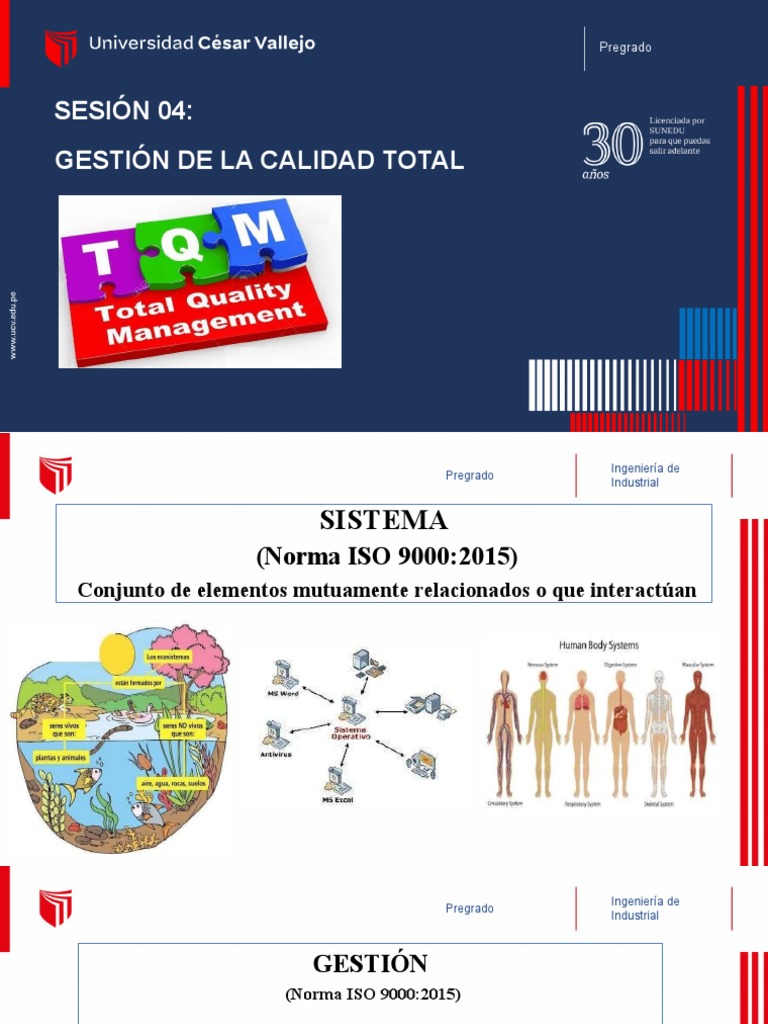 S-04 TQM GESTION DE LA CALIDAD TOTAL - Tagged | PDF | Calidad ...