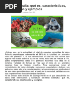 Texto informativo sobre animales | PDF