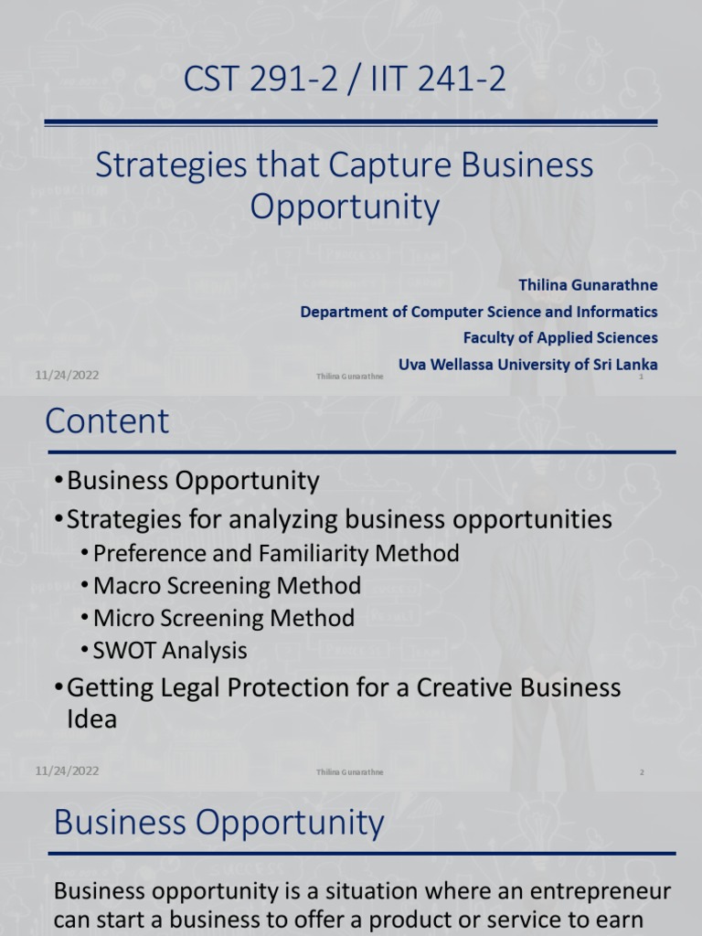 5.strategies That Capture Business Opportunity | PDF