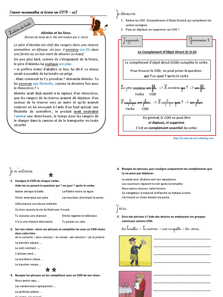 Reconnaître le Complément d'Objet Direct | PDF
