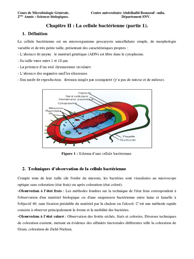 Chapitre 2 Partie 1-3 | PDF | Membrane cellulaire | Cytoplasme