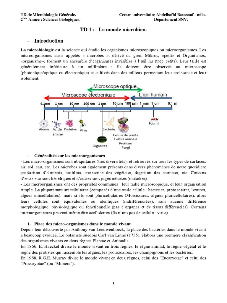 TD 1 microbiologie-3 | PDF