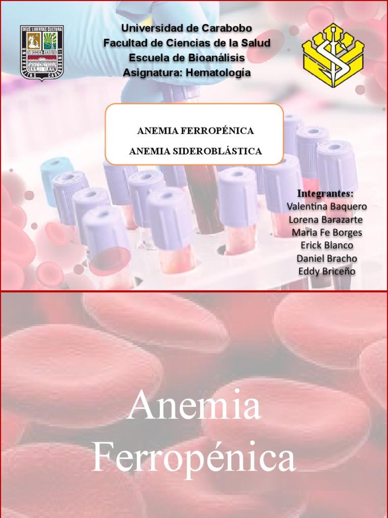 Diapos Final Anemia Sidero y Ferro | PDF