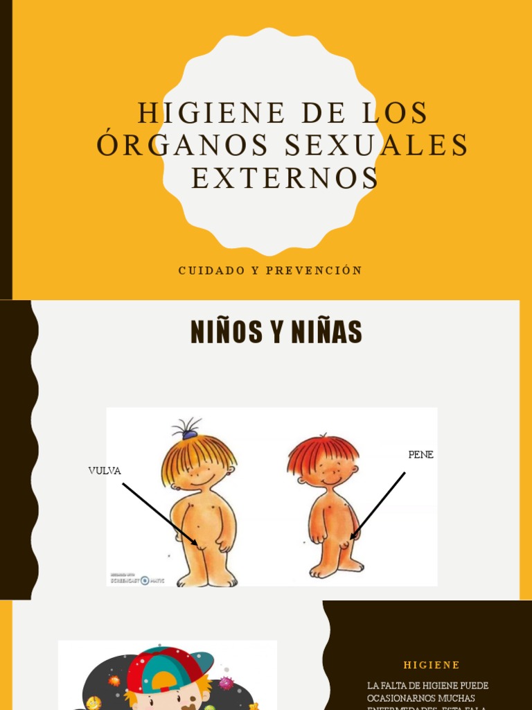 Higiene de Los Órganos Sexuales Externos | PDF