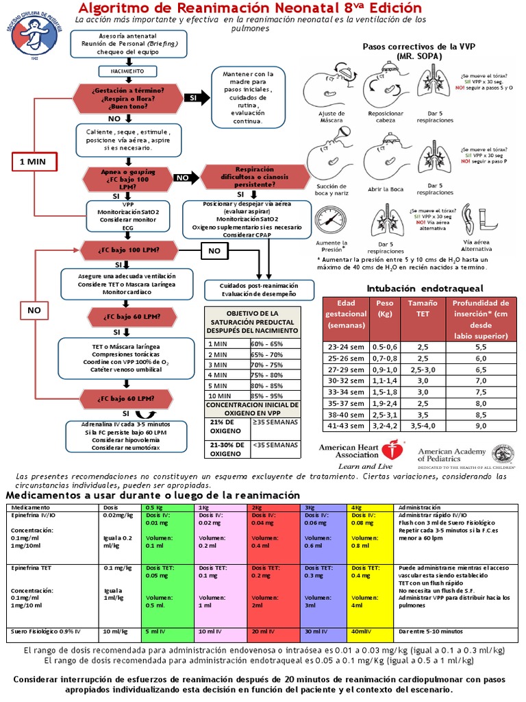 5.1.-Algoritmo RCP Neonatal | PDF | Reanimación cardiopulmonar ...