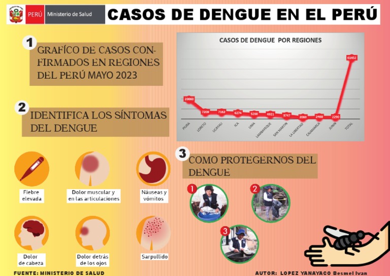 Dengue en El Perú | PDF