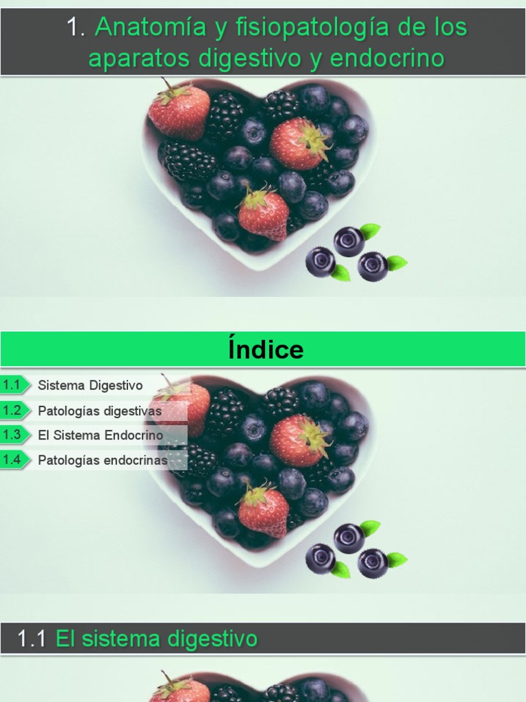 Manual UD1. Anatomia y Fisiopatologia de Los Aparatos Digestivo y Endocrino | PDF