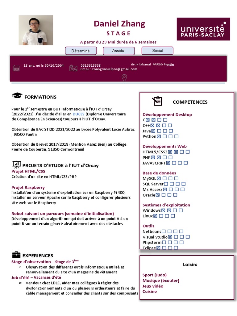 CV Daniel Zhang DUCES | PDF | PHP | Internet