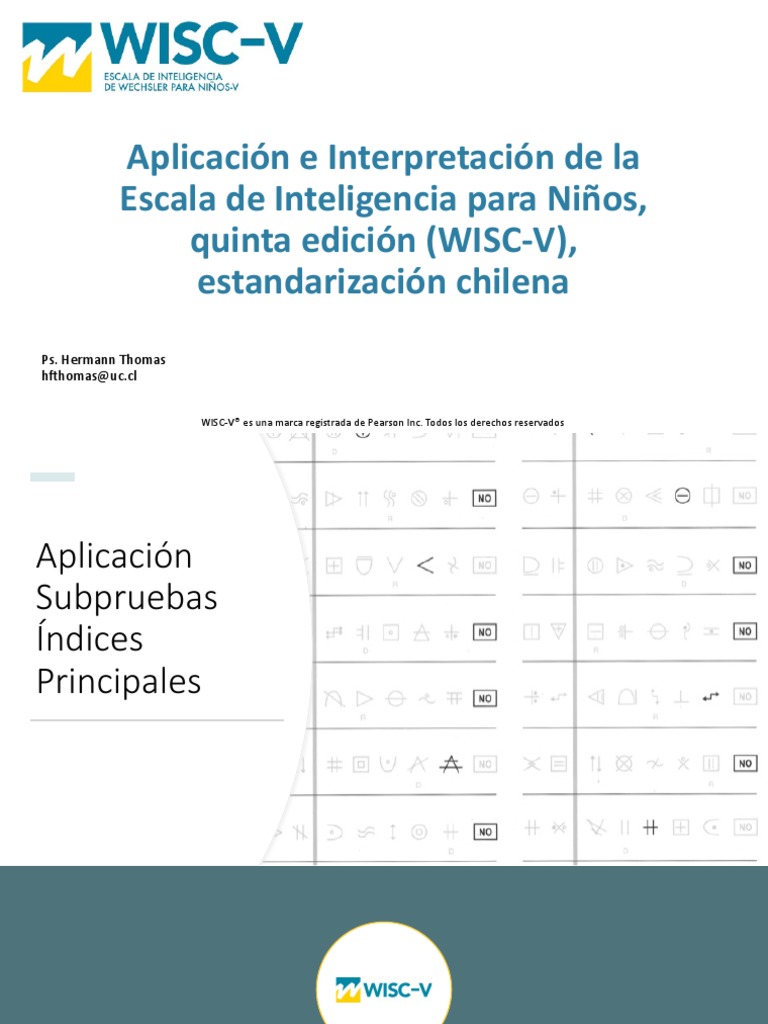 Curso WISC-V Nivel 2 - Actualizado | PDF