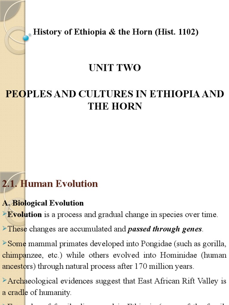 History of Ethiopia & The Horn Unit 2 | PDF | Homo | Stone Age