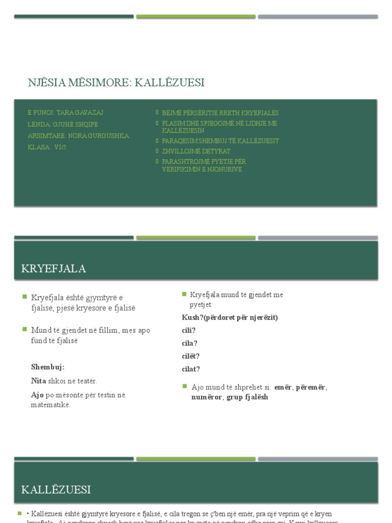 Njësia Mësimore | PDF