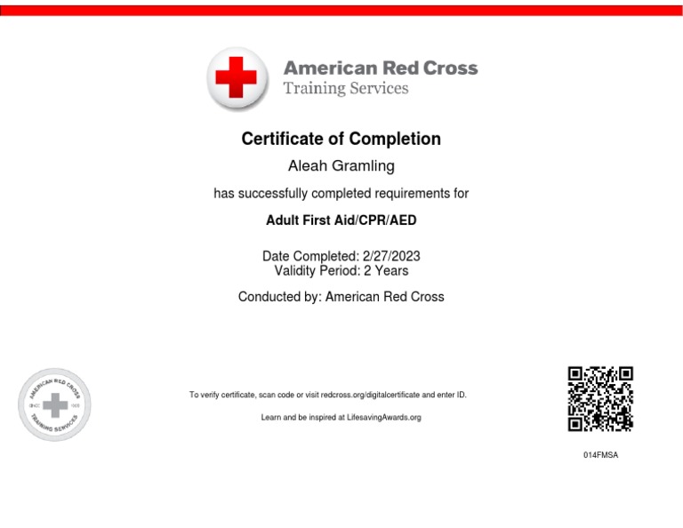 Gramling Adult First Aid CPR Aed Certificate | PDF