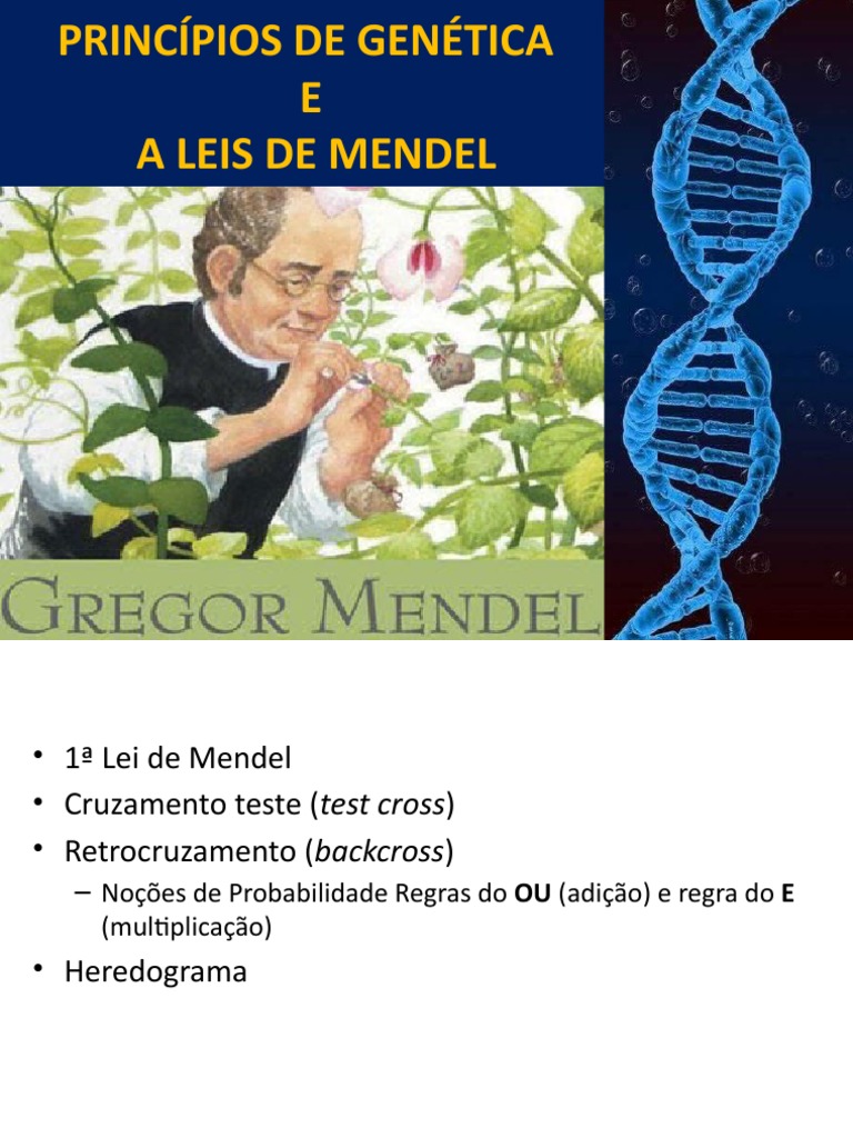 Genética - 1 Lei de Mendel | PDF
