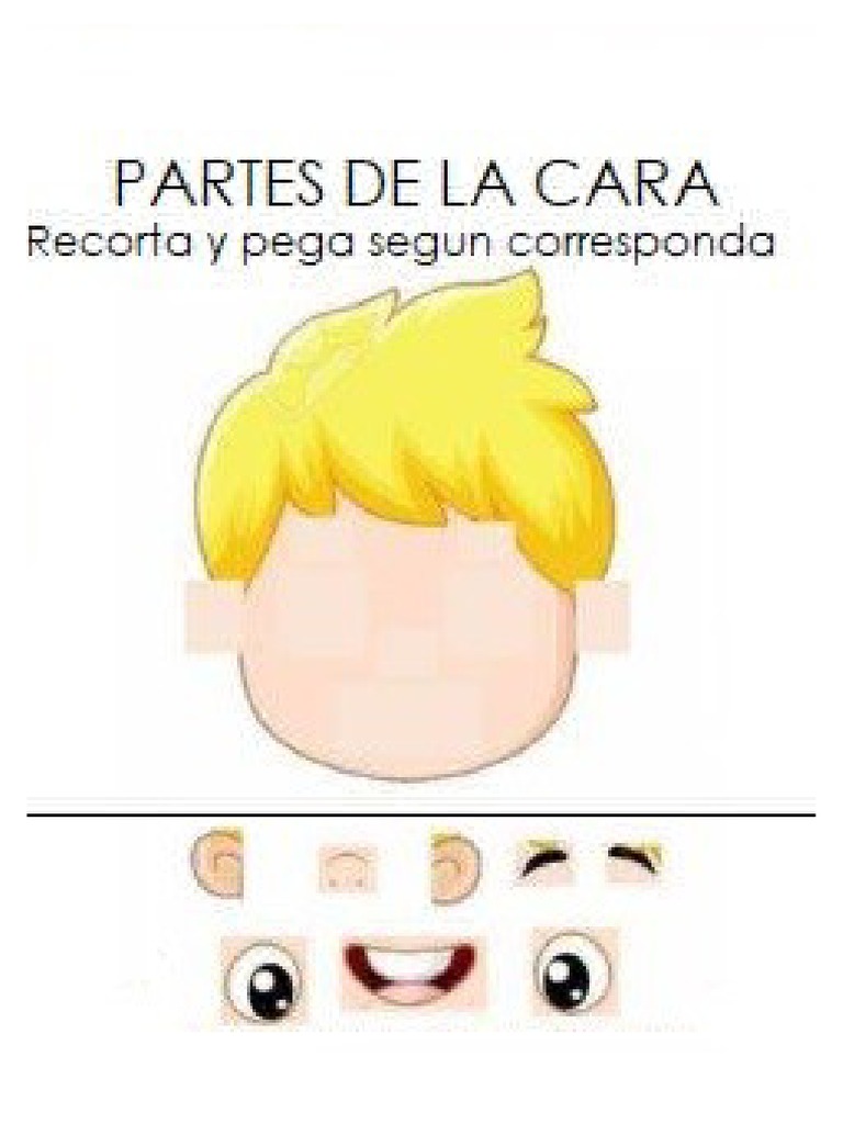 Partes de La Cara | PDF