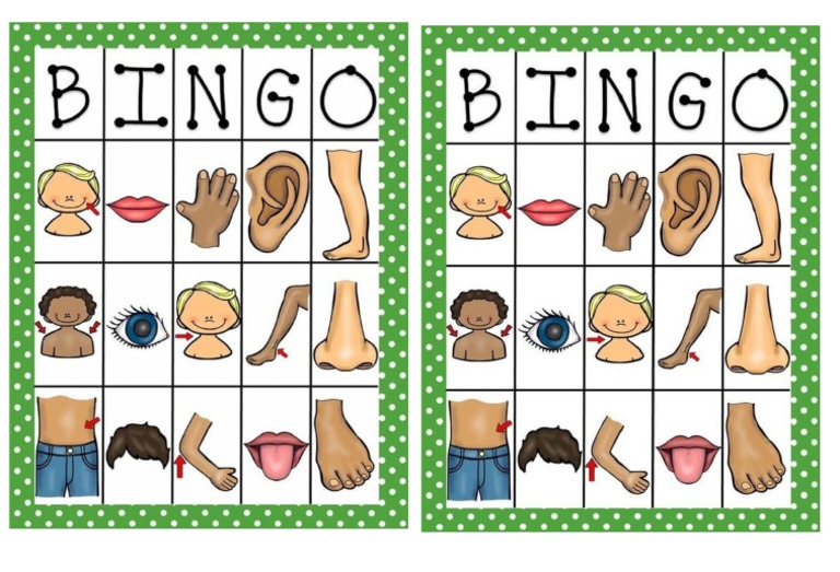 bingo partes del cuerpo | PDF
