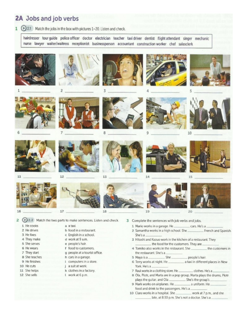 Vocabulary Jobs and Job Verbs | PDF