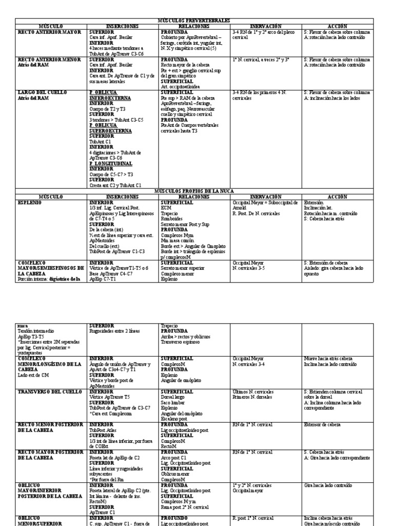 Músculos Nuca | PDF | Anatomía humana | Sistema musculoesquelético