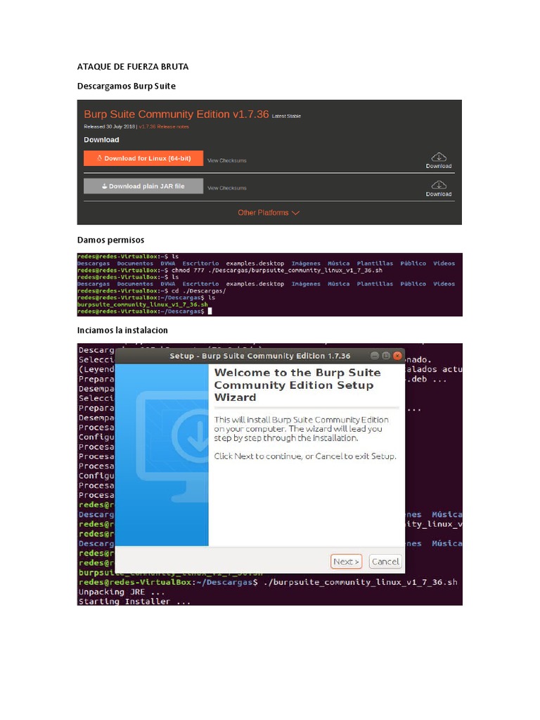 Configuración de Burp Suite y Hydra | PDF